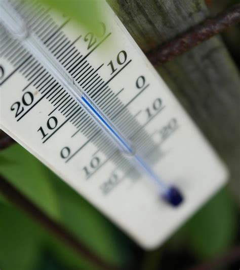 Bewährte Indikationen Aus Der Homöopathie Akute Zystitis Kfn