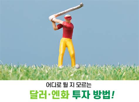 어디로 튈 지 모르는 달러·엔화 투자 방법