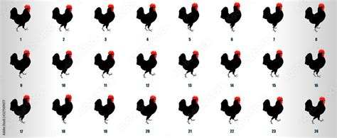 Стоковое векторное изображение hen walk cycle animation sequence