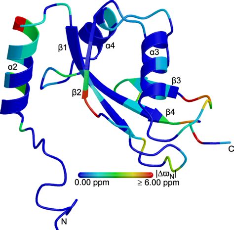 Solution Structure Of The Autophagy Related Protein Lc3c Reveals A