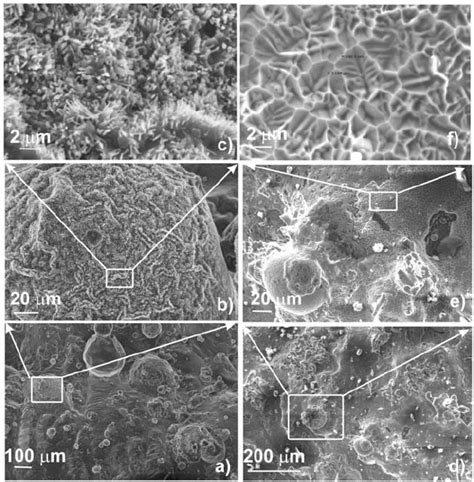 Surface Microstructure Of Nitinol Samples A B And C Slm P 1⁄4 50
