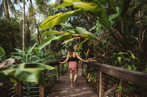 Things To Do In The Daintree Rainforest Queensland