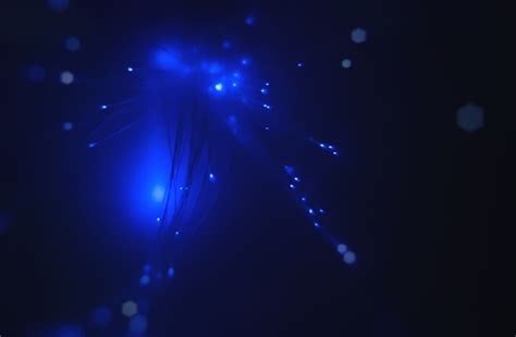 Physics Refraction And Reflection Concepts