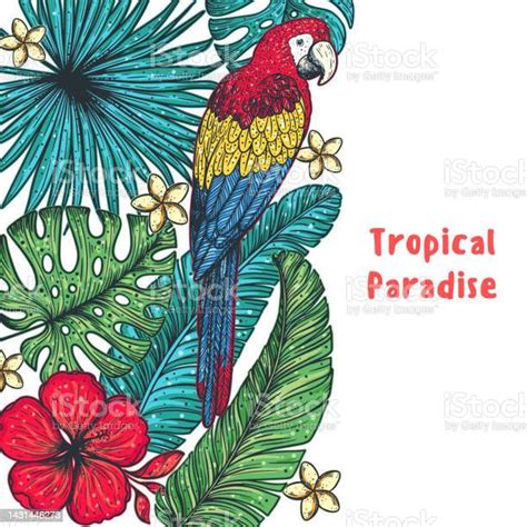 열대 디자인 템플릿 안녕하세요 여름 프레임 앵무새 야자수 잎 및 꽃 벡터 일러스트레이션 여름 디자인 0명에 대한 스톡 벡터 아트