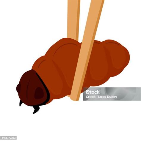 식용 애벌레 젓가락으로 애벌레를 먹는다 아시아 스낵과 거리 패스트 푸드 거저리 유충 단계에 대한 스톡 벡터 아트 및 기타 이미지