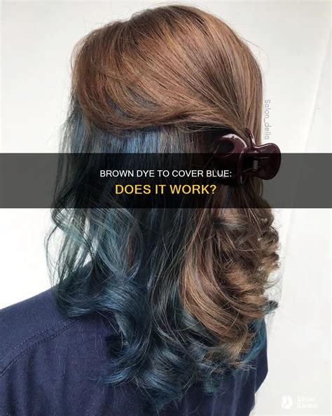 Brown Dye To Cover Blue Does It Work Shunsalon