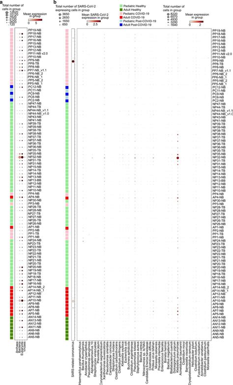 Metagenomic Analysis Of Patient Sample Reads That Were Not Mapped To