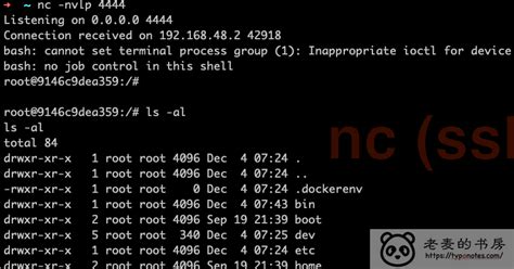 学习 Shell 反弹实现， 优化 Docker 基础镜像安全 老麦的书房