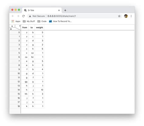 dtale visualizer for pandas data dtructures