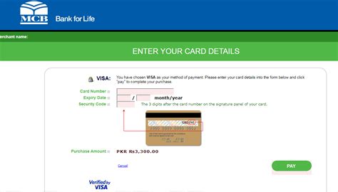 Mastercard Internet Gateway Service Migs Magento M1