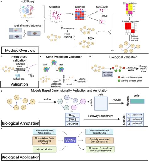 Scing Inference Of Robust Interpretable Gene Regulatory Networks From