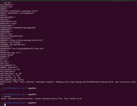 Problem On Startupdate · Issue 1449 · Projectdiscoverynuclei · Github