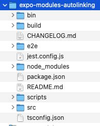 Pre Existing Project Cannot Add Expo Issue Expo Expo GitHub