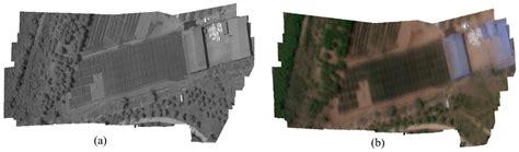 Applied Sciences Free Full Text Classification Of Different Winter Wheat Cultivars On