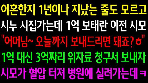 실화사연 이혼한지 1년이나 지났는 줄 모르고 시누 시집가는데 1억 보태란 시모 오늘 보내드리면 되죠 1억 대신 3억