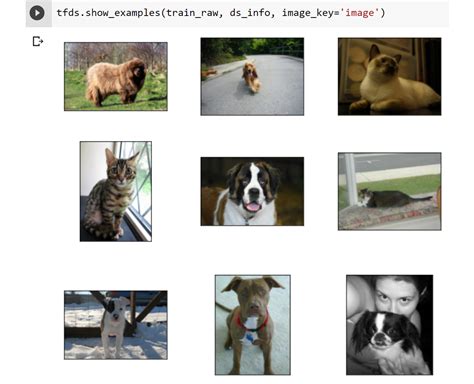 Practical Guide To Transfer Learning In Tensorflow For Multiclass Image