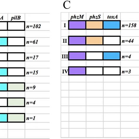 Genotypes Of Four Groups Of Virulence Genes Detected Amongst The 209 P