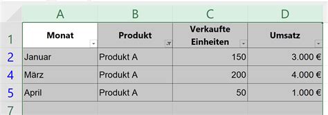 Excel Filter Funktion Datenanalyse Leicht Gemacht Minuten Excel