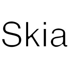Paint Overview Skia Python B Documentation