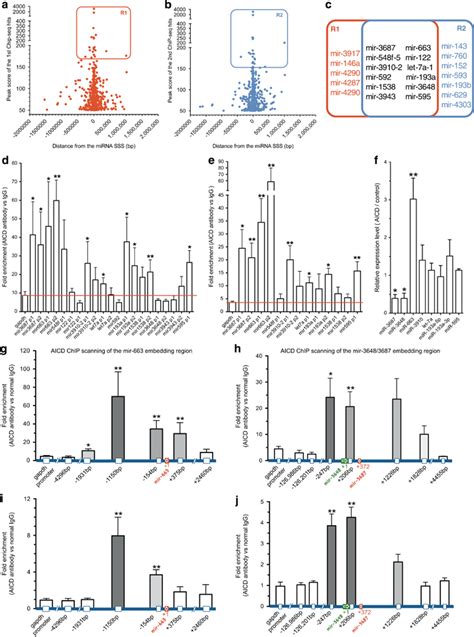 Chip Validation And Mirna Expression Assay For Possible Mirnas