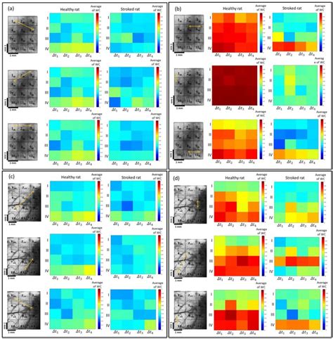 the averaged wc values in the 16 time frequency domains in the motor