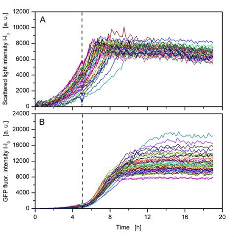 Simulating A Typical High Throughput Cultivation Process Effect On Download Scientific Diagram