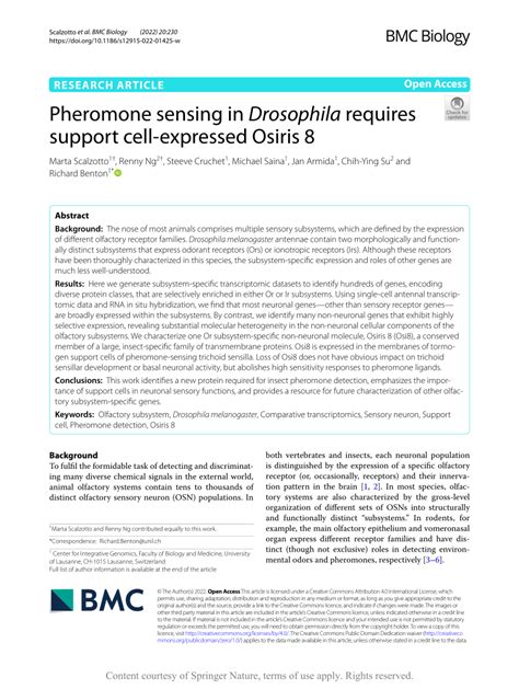 Pdf Pheromone Sensing In Drosophila Requires Support Cell Expressed Osiris 8