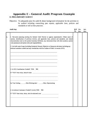 Audit Program Template Doc Template PdfFiller