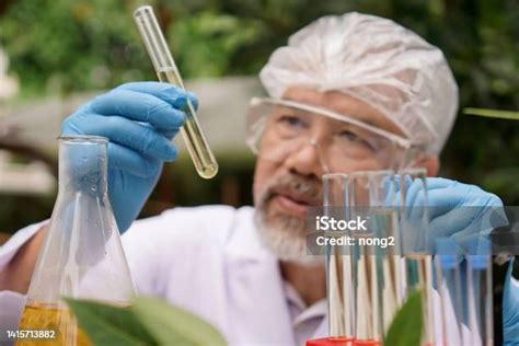 과학자들은 식물 기반 의약품을 연구합니다 천연 유기 추출 및 유리 제품의 과학은 대체 한약 스킨 케어 미용 제품을 만들기 위해 실험실 개념 및 개발 55 59세에 대한 스톡