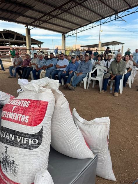 Anuncian Nuevos Programas En Beneficio De La Ganadería La Prensa De