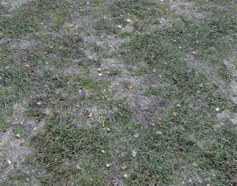 Dark Grass Textures Texture Cgtrader