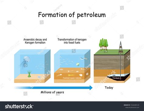 279 Fossil Fuel Formation Images Stock Photos Vectors Shutterstock
