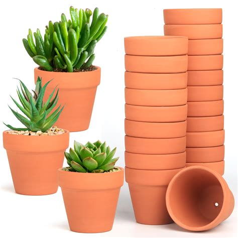 Best Terracotta Pots For Succulents