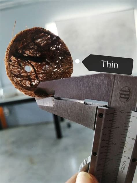 3 Types Of Biodegradable Pots Biodegradable And Compostable Pots