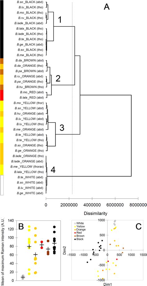 results from multivariate analyses a dendrogram obtained from the