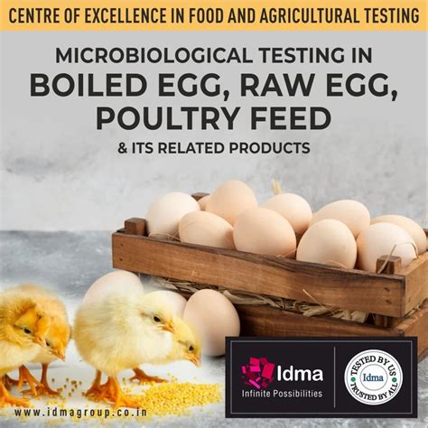 Boiled Egg Testing Laboratories At ₹ 3500 Sample In Panchkula Id 2852728500297
