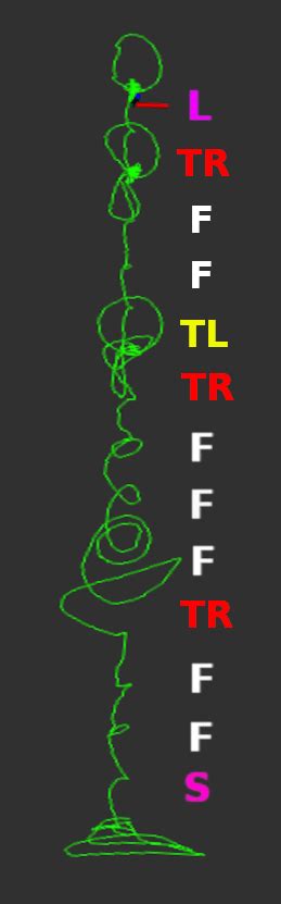 Scenario 2 Experiment 2c Path Shown On Rviz And Total Rfid Tag