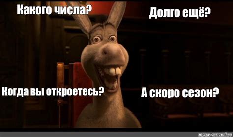 Картинка осла из шрека уже приехали - Фотоподборки 1