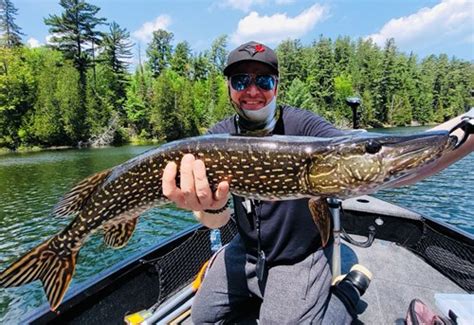 Robert Wojtkowicz Systech