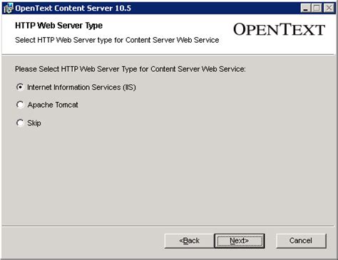 IIS Setup