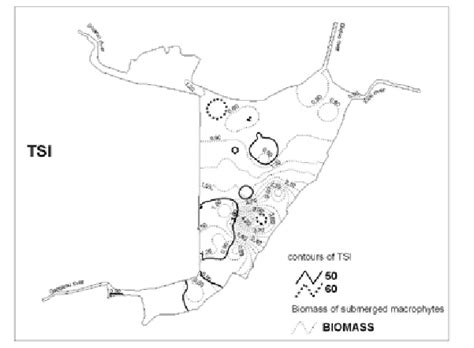 Spatial Distribution Of The Lake Trophic State Index And Biomass Of