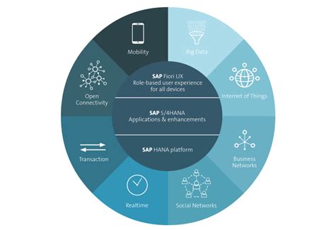 Sap S Hana Erp