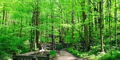 Publications Evolutionary Genomics Of Sex