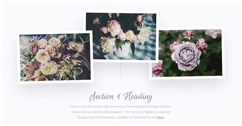 Divi Scrolling Effects With Transform On Hover ~ Free Layout ~ Divi Lover