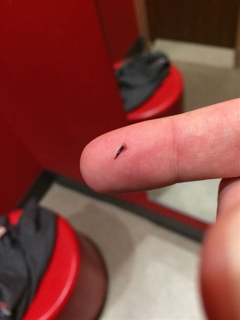 Pulled Out A Huge Mutant Beard Hair At Target Rpopping