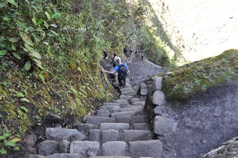 The International Rambler Mucho Machu Picchu