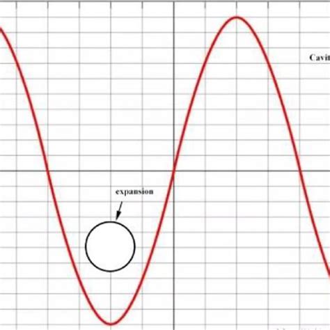 Kinetic Response Of Bubbles Under The Action Of Positive And Negative