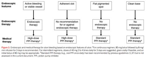 Gi Bleed — The St Margaret Shorts