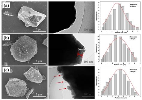 Scanning Electron Microscopy Sem Micrographs Transmission Electron Download Scientific