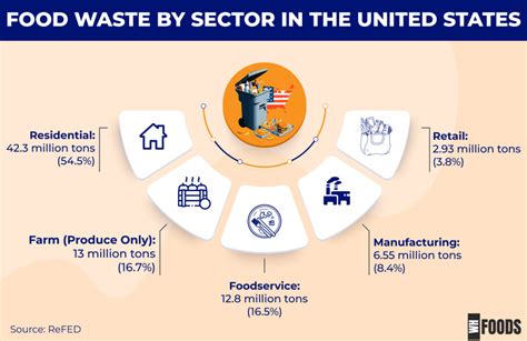 Food Waste Statistics How Much Are We Really Throwing Away